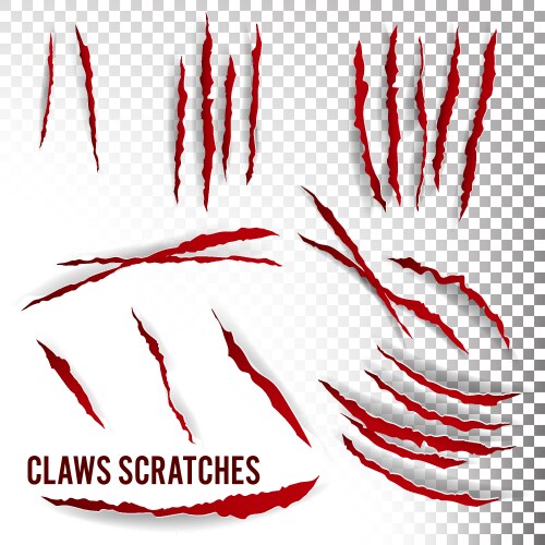 Claw scratch engraving tattoo Royalty Free Vector Image