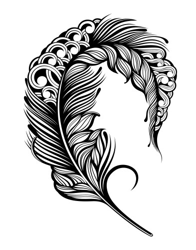 Feather Royalty Free Vector Image - VectorStock