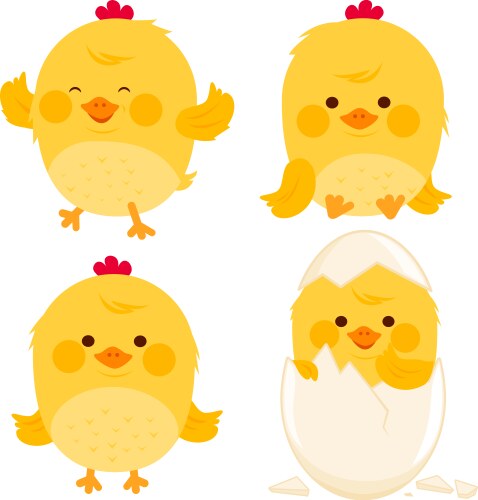 Cute cartoon chicks Royalty Free Vector Image - VectorStock