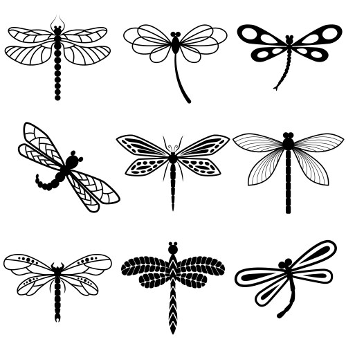 Dragonfly Outline Vector Images (over 3,700)