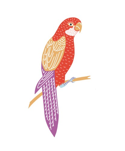 Ara parrot cartoon icon in flat design Royalty Free Vector