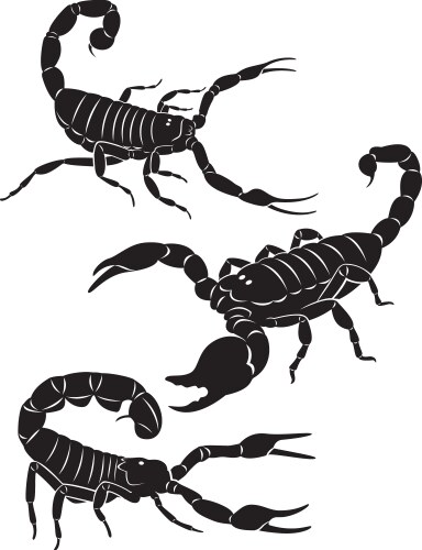 Scorpio Vector Images (over 14,000)