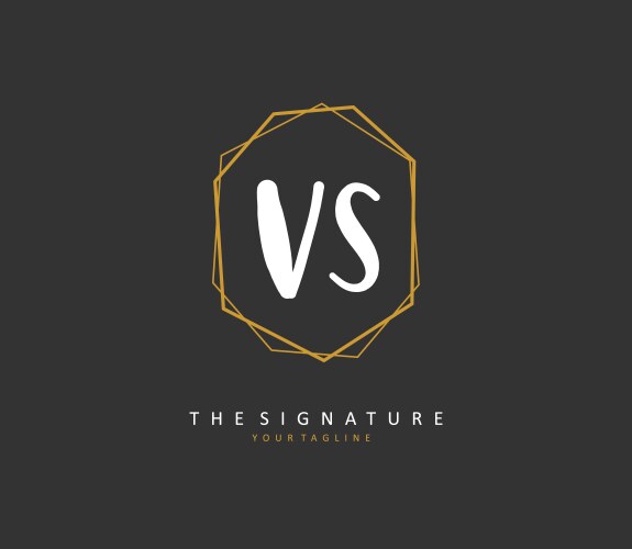 V s vs initial letter handwriting and signature Vector Image
