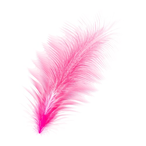 3d realistic falling white fluffy twirled Vector Image