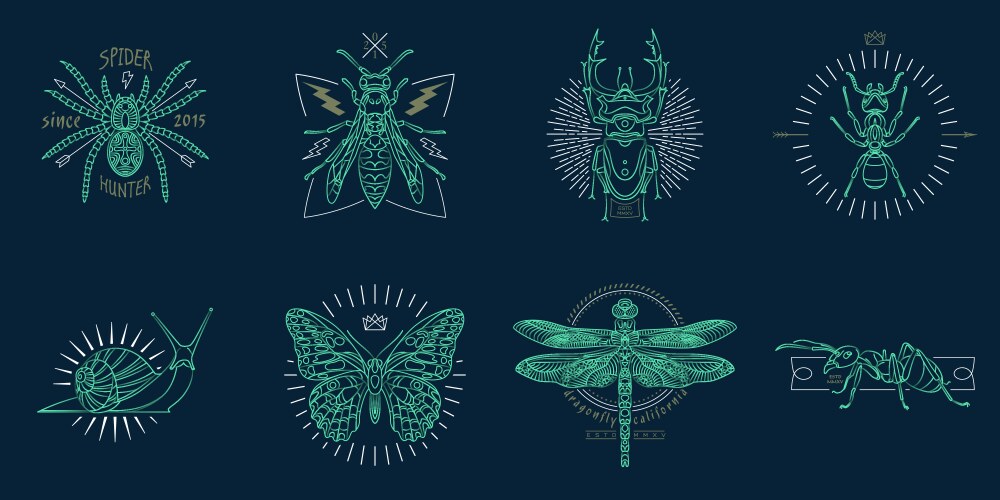 Abstract insects Royalty Free Vector Image - VectorStock