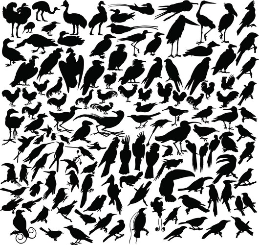 Birds Vector Images (over 630,000)