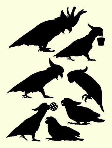 Parrots animal silhouette Royalty Free Vector Image