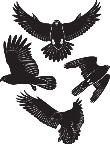 Eagle Vector Images (over 78,000)