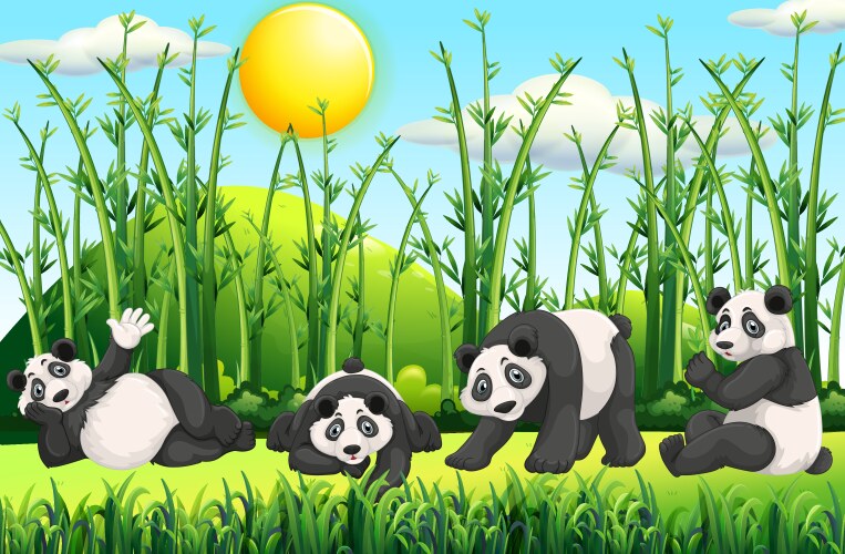 Panda action playing together under the bamboo Vector Image
