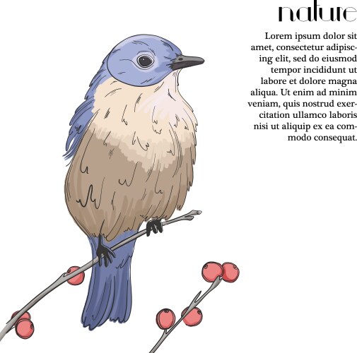 Bluebird Vector Images (over 1,300)