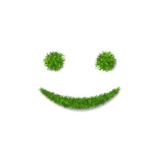 Green grass face smile smiley grassy icon Vector Image