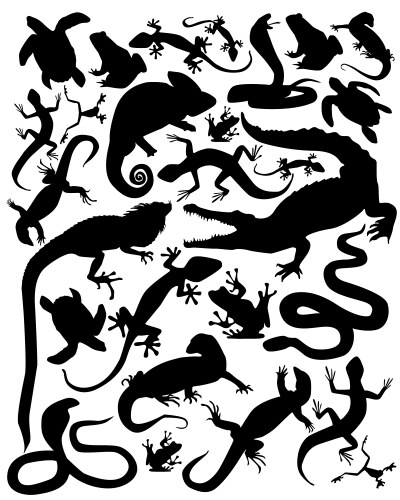 Reptiles Vector Images (over 99,000)