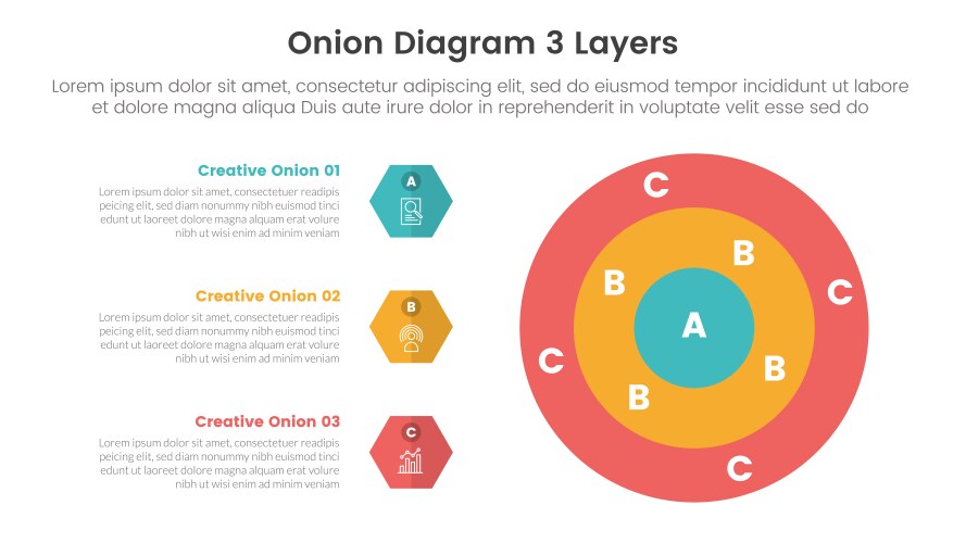 Onion diagram structure for infographic template Vector Image