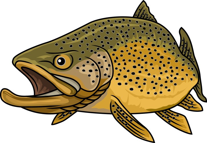 Trout Logo 9,456 Trout Fishing Logos Stock Vectors And Vector Art