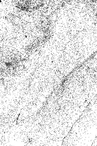 Noisy Vector Images (over 6,500)