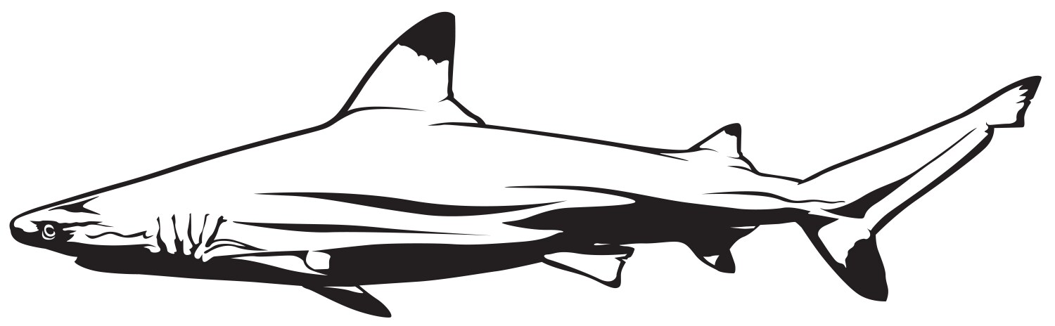 Shark Outline Vector Images (over 6,500)