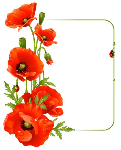 Poppy Border Vector Images (over 2,300)