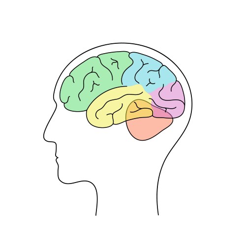 Human brain cartoon Royalty Free Vector Image - VectorStock