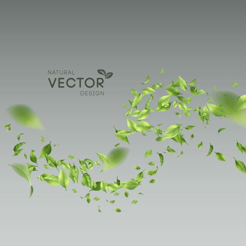 Green flying leaves Royalty Free Vector Image - VectorStock