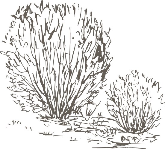 Bushes Vector Images (over 84,000)