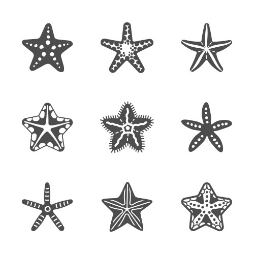 Sea starfish single icon separate isolated Vector Image