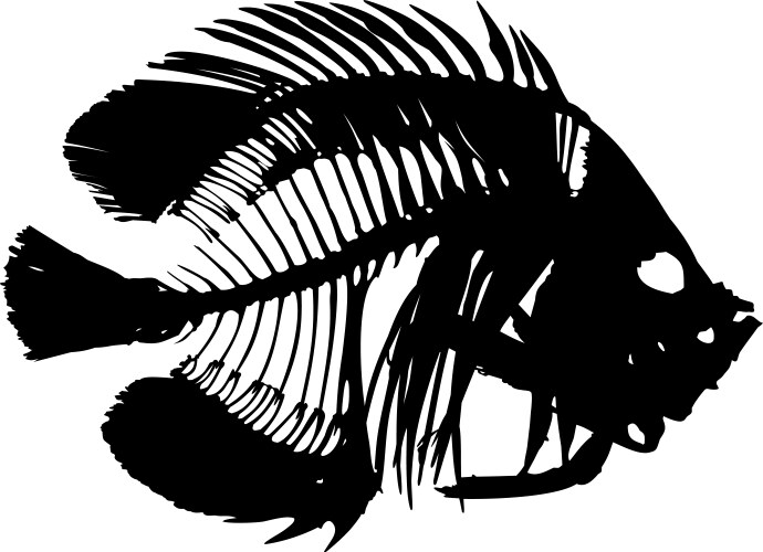 Black skeleton fish icon scary fishbone anatomy Vector Image