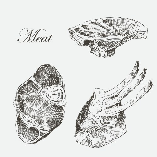 Raw meat set drawing hand drawn beef steak Vector Image