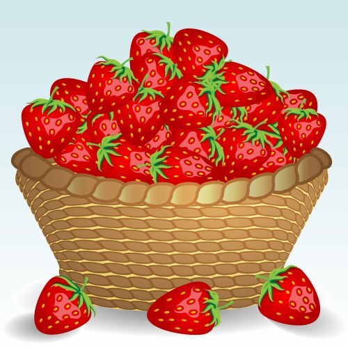 Basket Without Handle Vector Images (68)