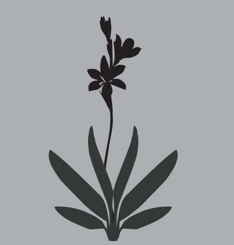 Free Simple Vector Images (over 140,000)