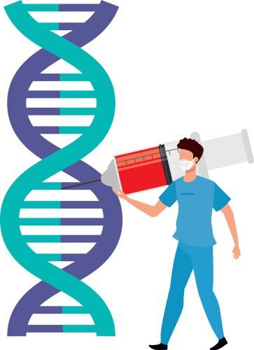 Singel And Duplicated Chromosome Structure Vector Image