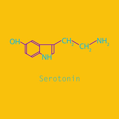 Serotonin neurotransmitter molecule skeletal Vector Image