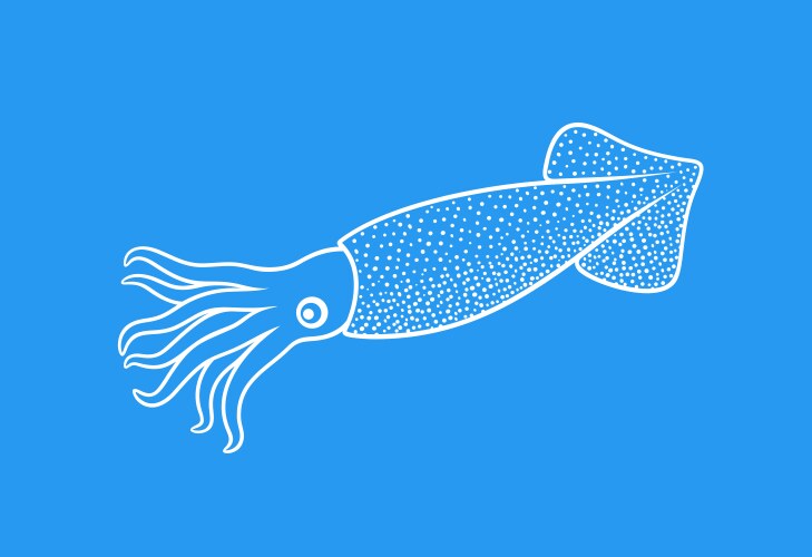 Squid Vector Images (over 19,000)