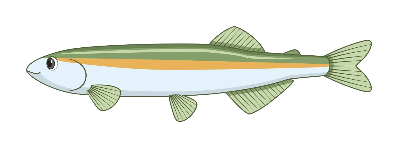 Fish with gills on white background Royalty Free Vector