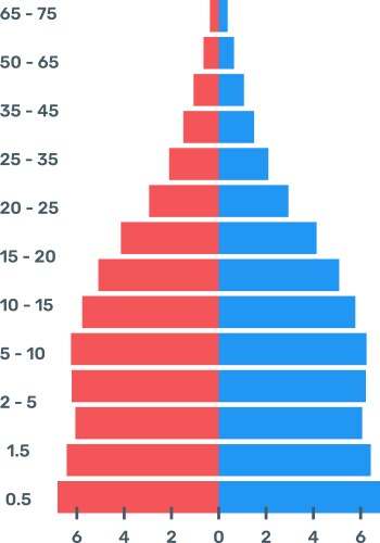 Population pyramid infographic Royalty Free Vector Image