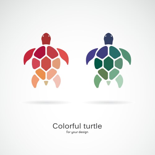 Turtle Royalty Free Vector Image - VectorStock