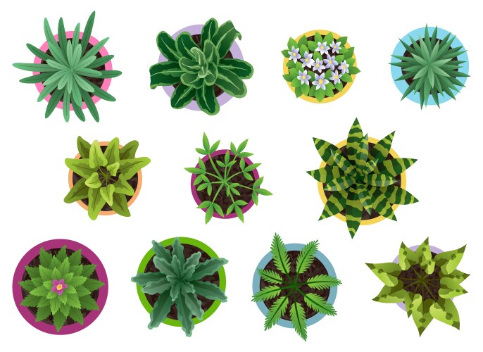 Flower Pot Top View Vector Images (over 400)