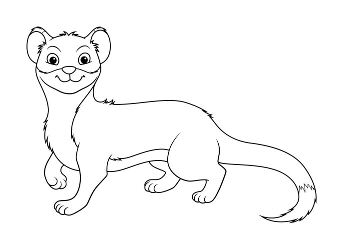 Weasel cartoon animal Royalty Free Vector Image