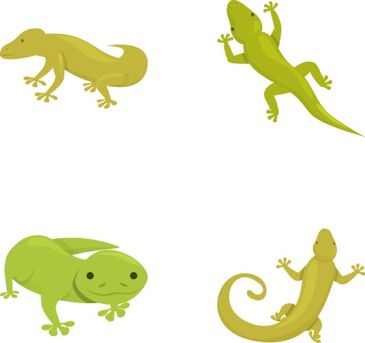 Gecko Vector Images (over 4,900)