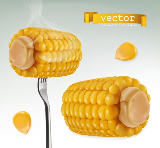 Baked or boiled corn on wooden stick food Vector Image