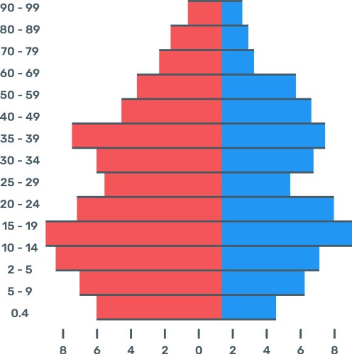 Population pyramid chart Royalty Free Vector Image