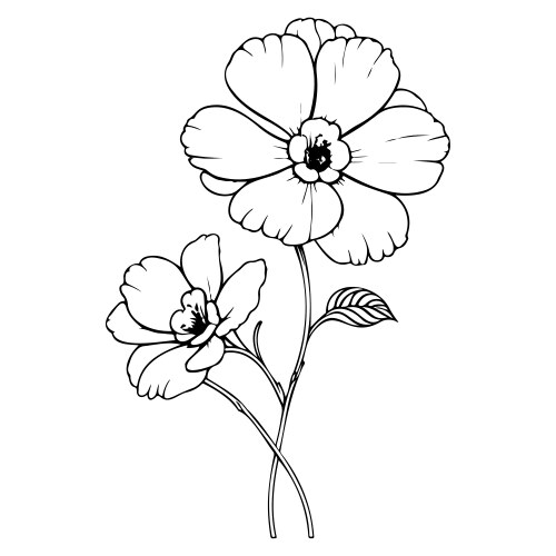 Primrose drawing flower violet hand draw Vector Image