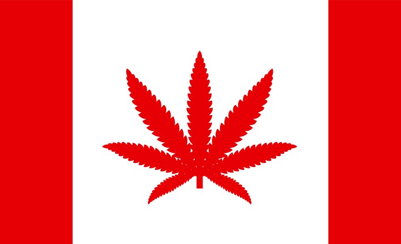 Marijuana Leaf White Background Vector Images (over 11,000)
