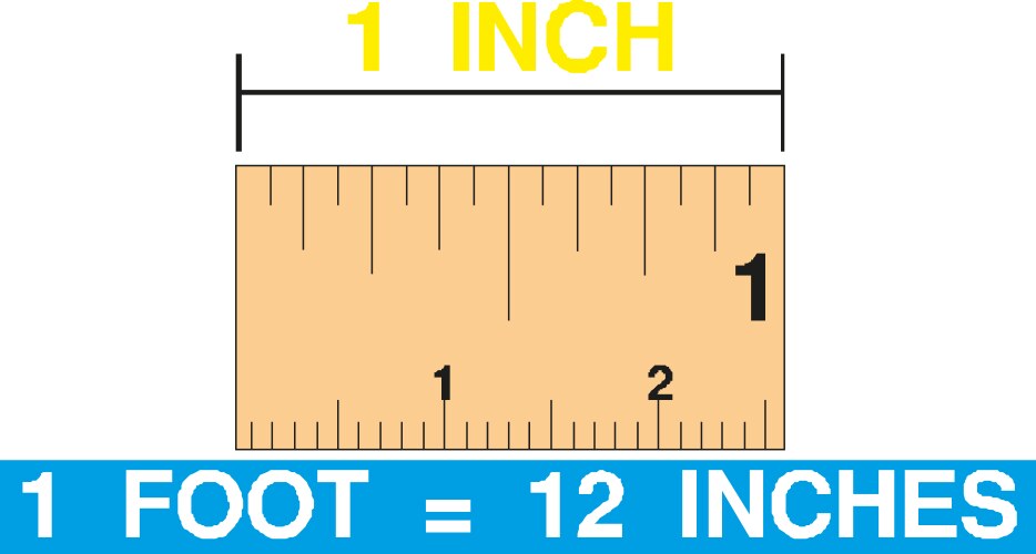 Ruler centimeter cm scale school yellow Royalty Free Vector