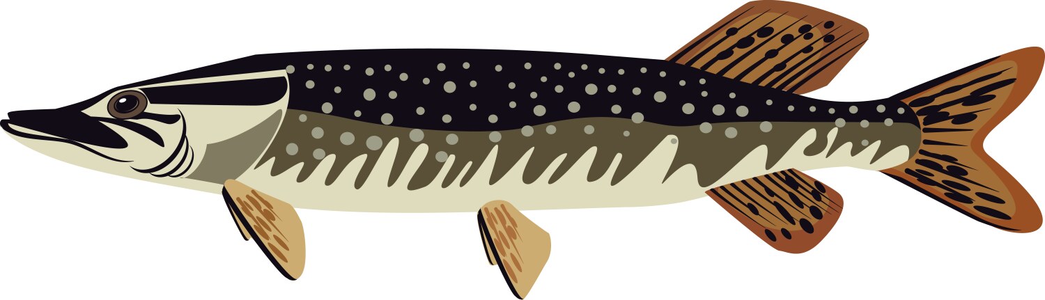 Pike Vector Images (over 7,300)