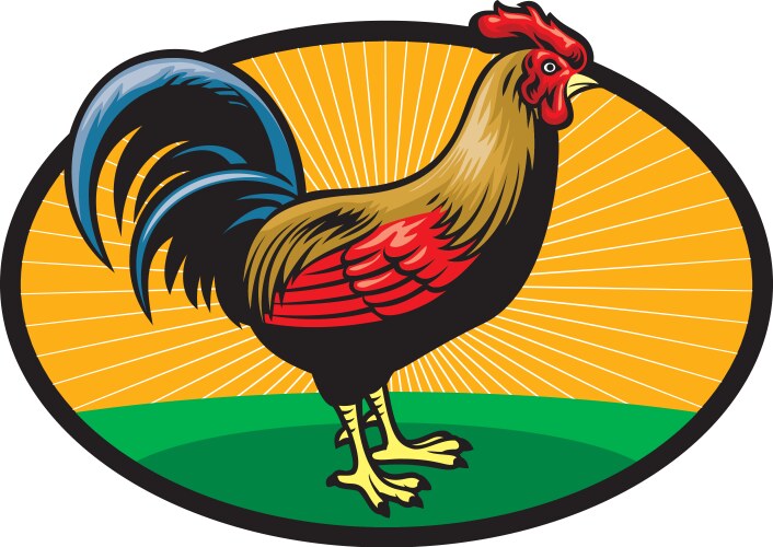 Rooster Vector Images (over 39,000)