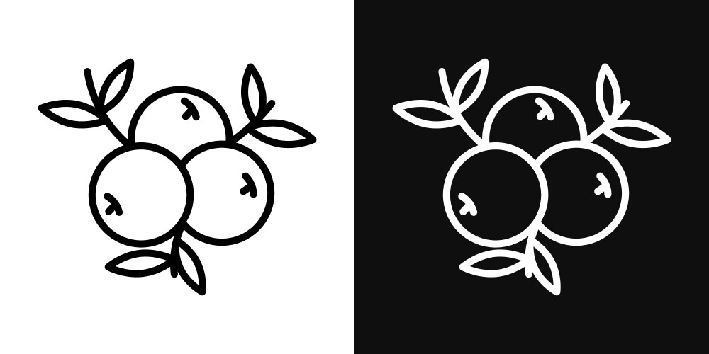 Juniper icon set berry gin blueberry symbol Vector Image