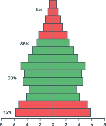 Plot population pyramid Royalty Free Vector Image