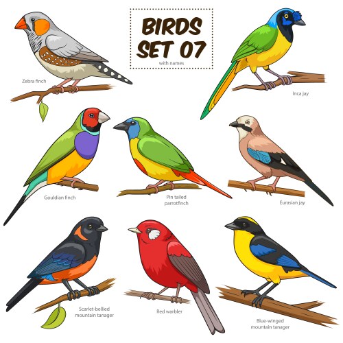 Flying Bird Cartoon Vector Images (over 50,000)