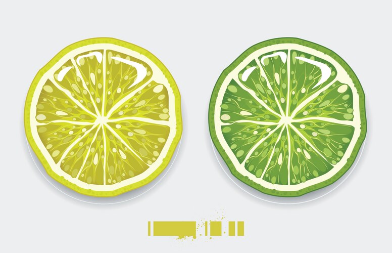 Lime Vector Images (over 240,000)