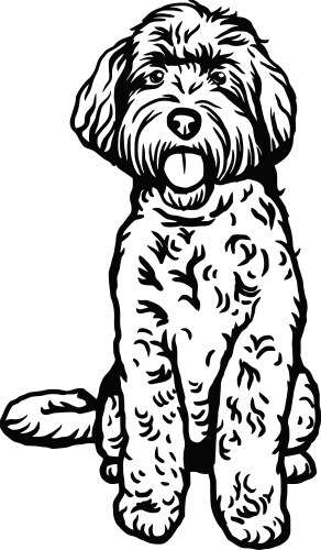 Labradoodle Vector Images (over 240)